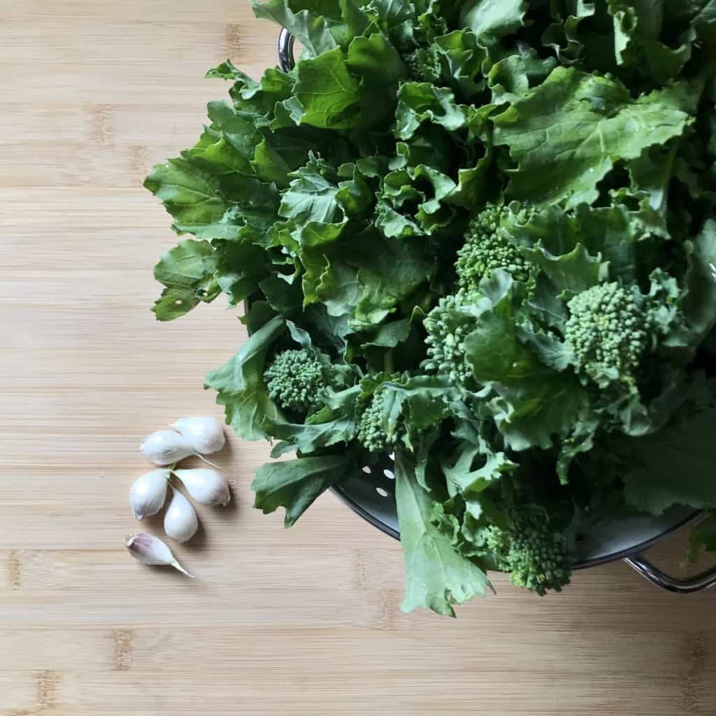 Broccoli Rabe Pasta Recipe - She Loves Biscotti