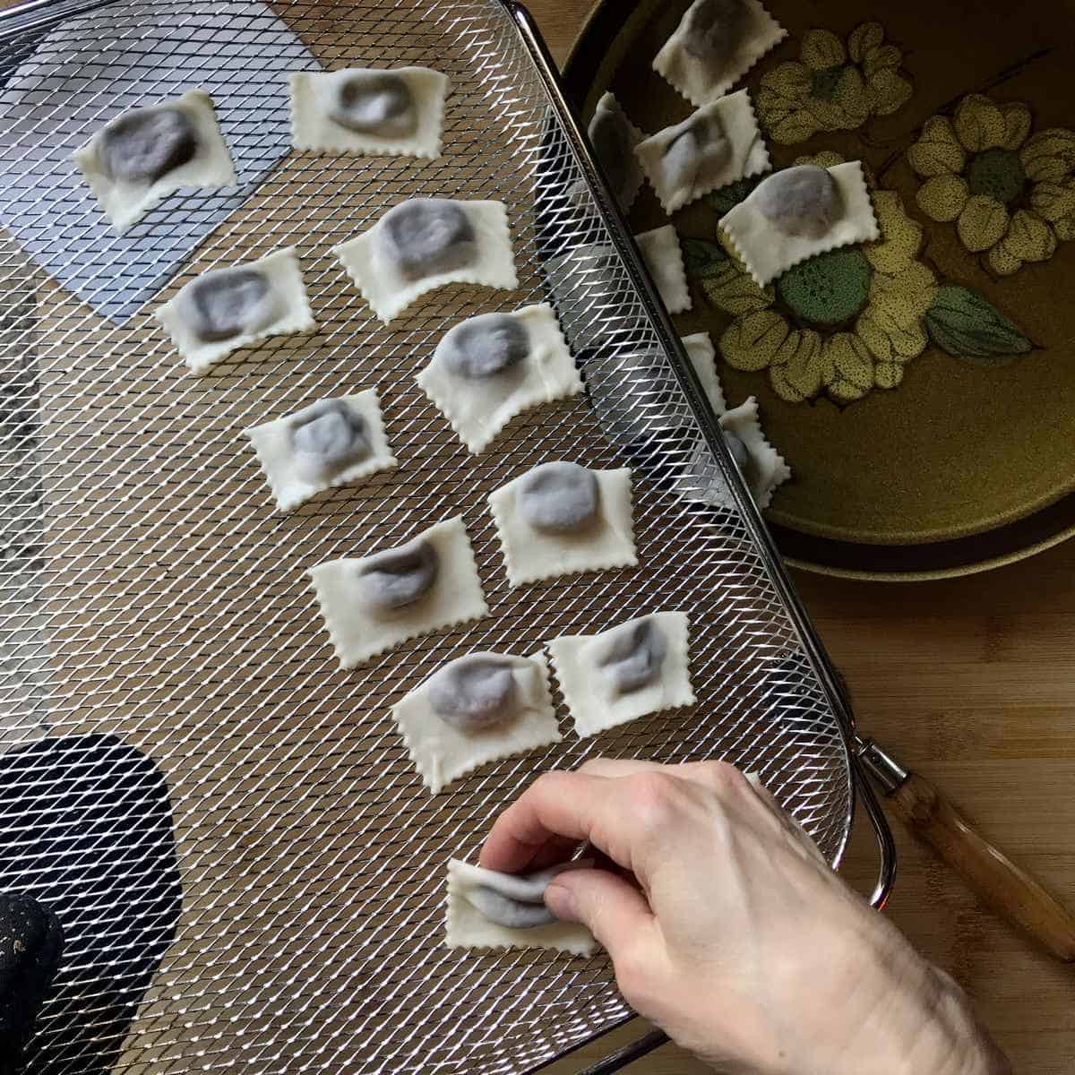 Chestnut Cookies aka Calzoni di Castagne - She Loves Biscotti