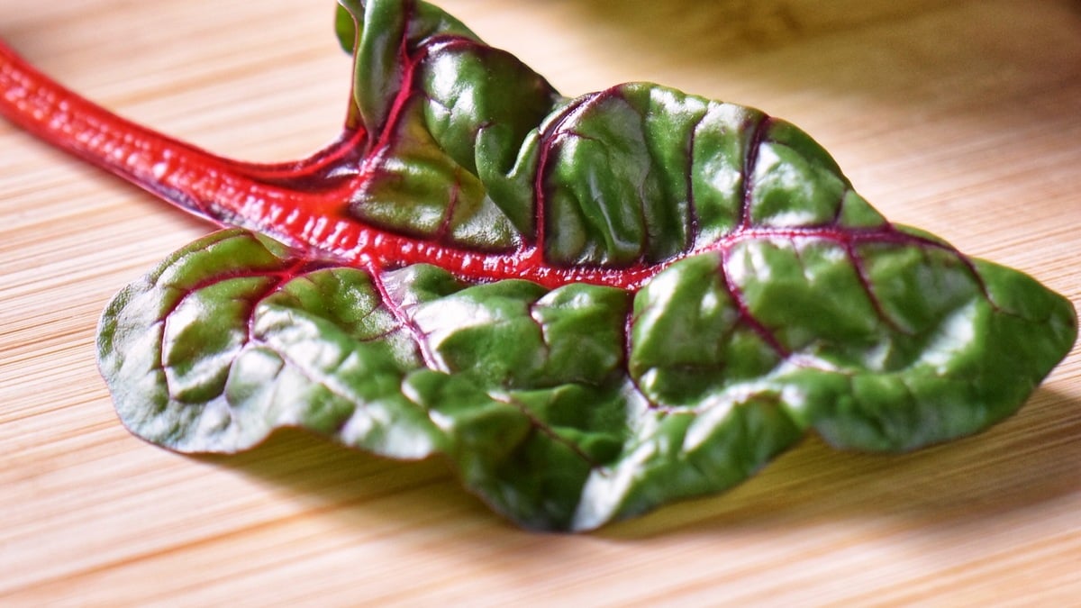 How to Freeze Swiss Chard - She Loves Biscotti