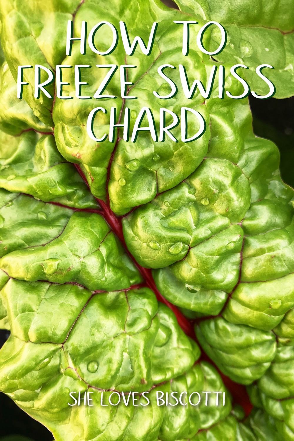 How to Freeze Swiss Chard: Freezing Swiss Chard - She Loves Biscotti