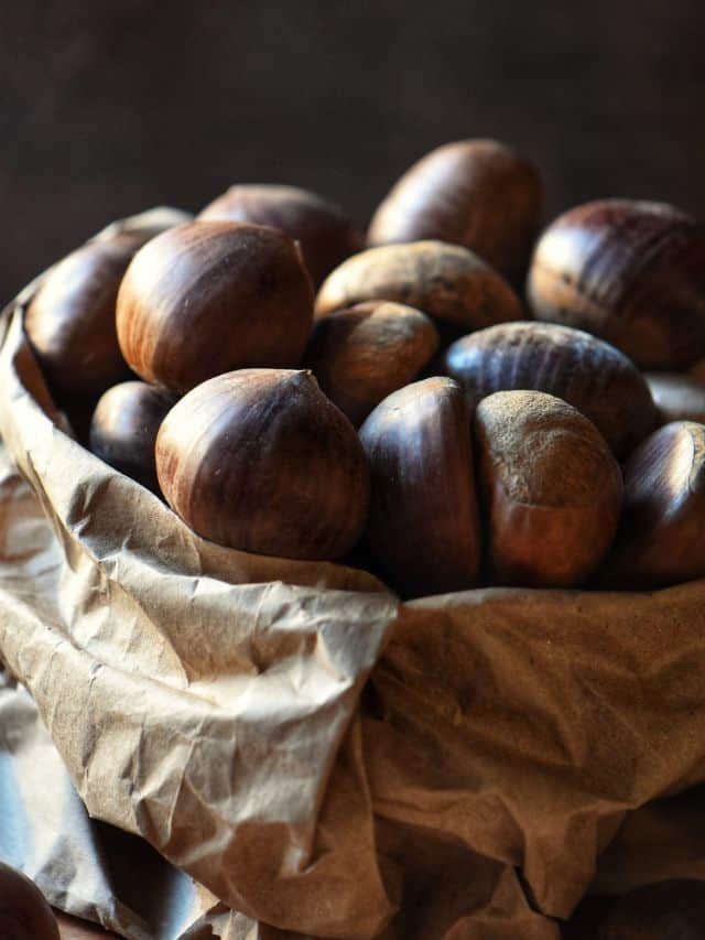 Chestnut Recipes to Make Now! - She Loves Biscotti