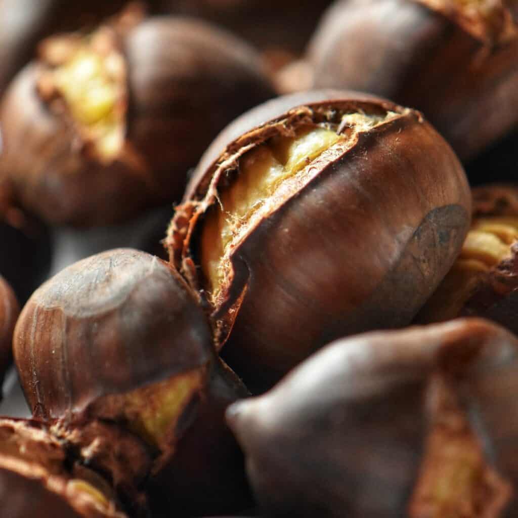Storing Chestnuts: How to Store the Proper Way - She Loves Biscotti