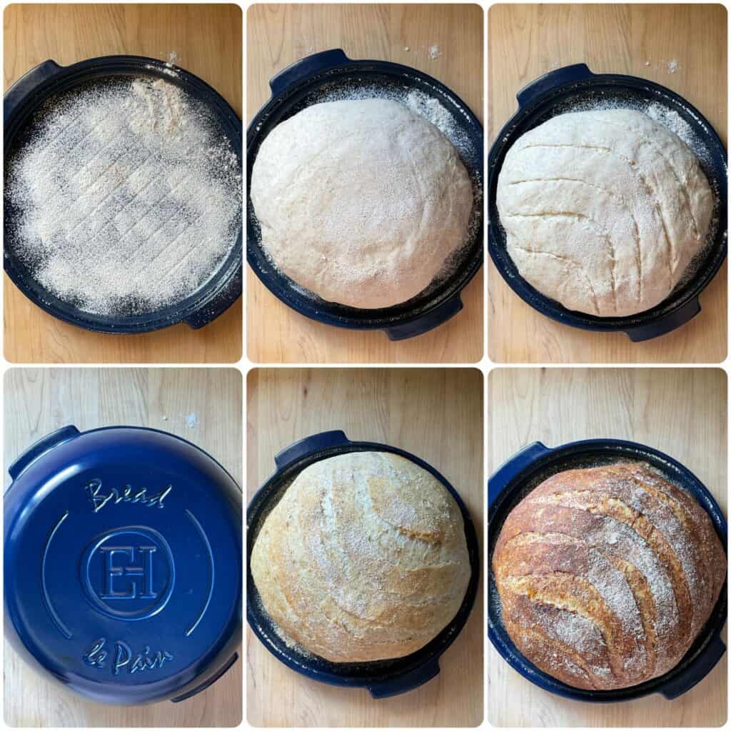 Rustic Italian Bread: Pagnotta Recipe - She Loves Biscotti
